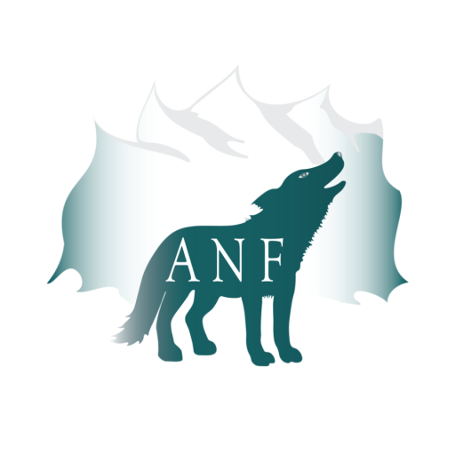 ANF Homepage